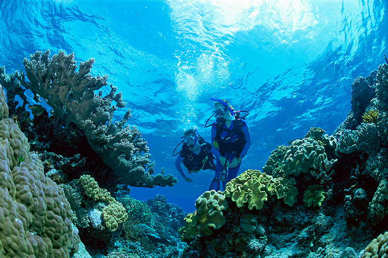 Divers Den Liveaboard Cairns Australia Divers Den Liveaboard Cairns Australia