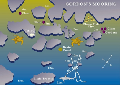 Diving Flynn Reef - Gordon´s Mooring , Dive Sites Riffe bei Cairns