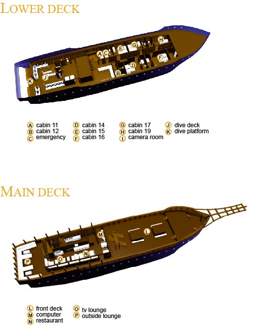Diversion Dive Travel Australia - Dive travel and diving vacations